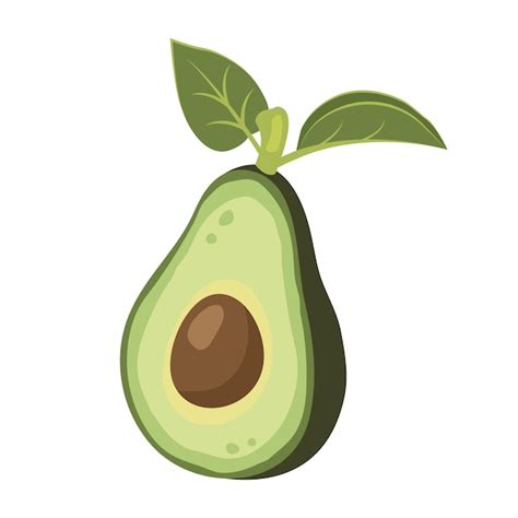 Premium Vector Half An Avocado With Leaves Pit And Flesh Ripe Fresh