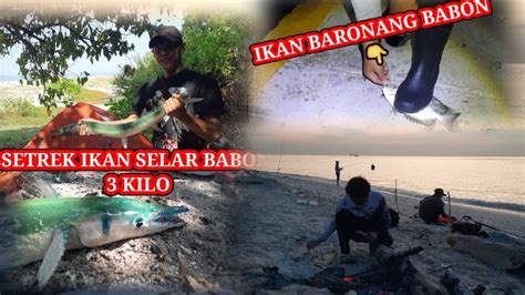 Pertama Mancing Di Sini Langsung Setrek Babon Spot Mancing Pasiran