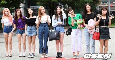 모모랜드 과즙미 팡팡 [사진]