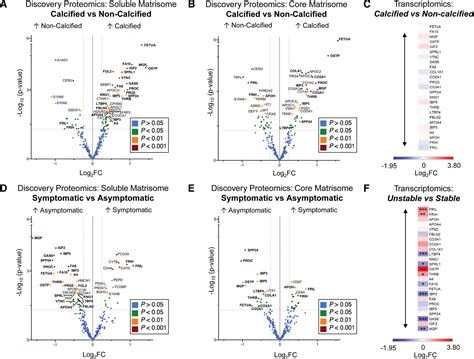 Proteomic Atlas Of Atherosclerosis The Contribution Of Proteoglycans