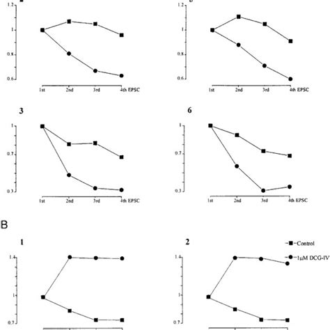 Morphology And Electrophysiology Of Layer Iv Spiny Neurons A B