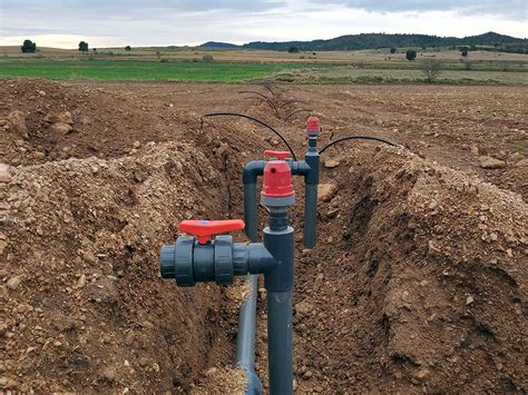 Instalacion de riego por goteo en Murcia Riegos Agrícolas
