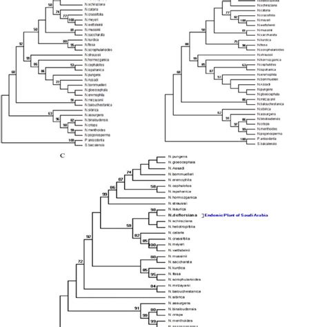 A Phylogram Constructed Using Maximum Likelihood Method B Phylogram