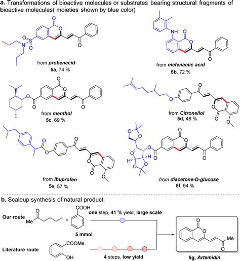 Synthetic Application Of Our Protocol Download Scientific Diagram