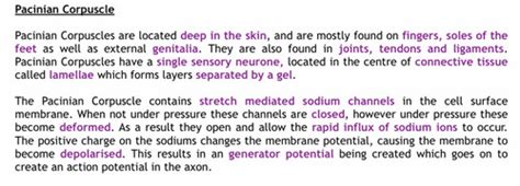 Neurones Receptors Heart Rate Synapses And Action Potentials