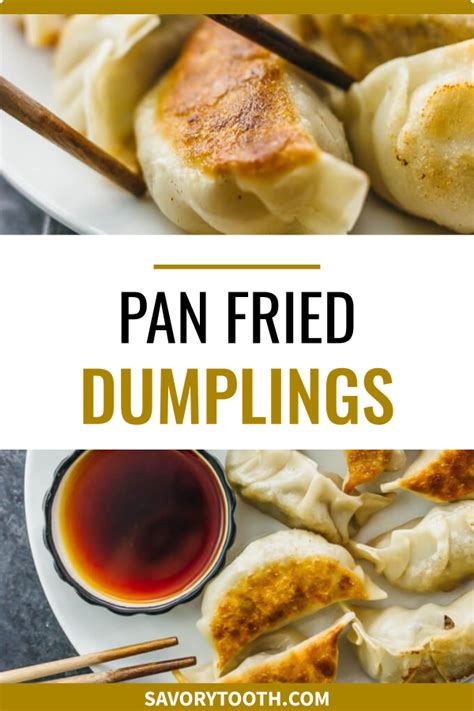 Pan Fried Chinese Dumplings