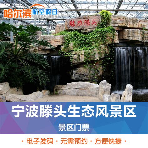 奉化滕头乐园 头乐园 化头 大山谷图库