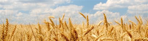 웹사이트 유지보수