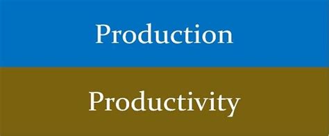Difference Between Productivity And Efficiency With Comparison Chart Key Differences