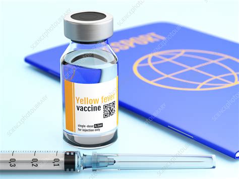 Yellow Fever Vaccine For Travel Illustration Stock Image F0374470