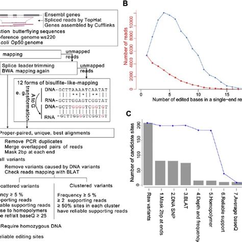 The Computational Pipeline For Identifying Rna Editing Sites In C Download Scientific Diagram
