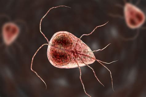 40 Facts About Parasites