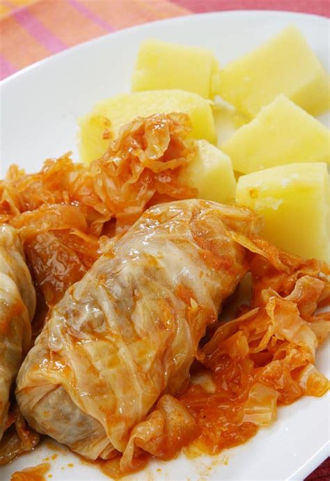 sarma stock image image of cooked food cabbage potato 14824211