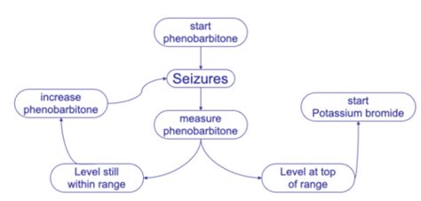 Seizures Flashcards Quizlet