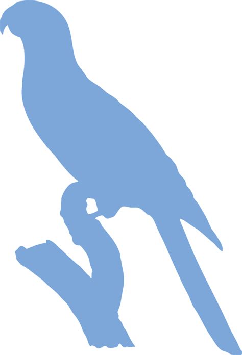 Loro Pájaro Silueta Gráficos Vectoriales Gratis En Pixabay Pixabay