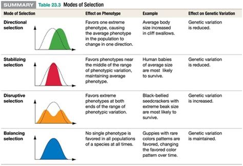 Wvu Bio 117 Exam 1 Flashcards Quizlet