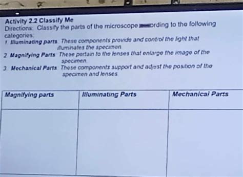 Activity Classify Me Directions Classity Studyx