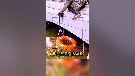 물에 빠진 강아지를 구해주는 아름다운 사람들 ️ Youtube