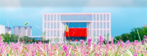 中科大 安理工联合团队在jacs发表燃料电池领域突破性成果 分析测试中心