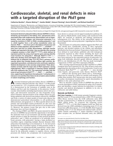 pdf cardiovascular skeletal and renal defects in mice with a