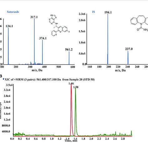High Performance Liquid Chromatography Tandem Mass Spectrometry