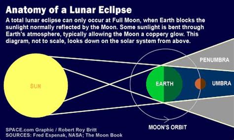 Total Lunar Eclipse Diagram