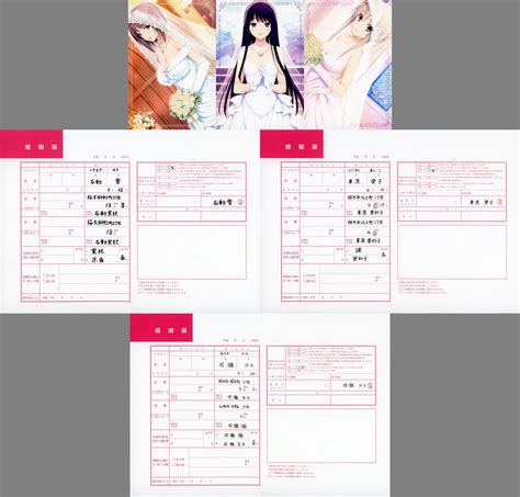駿河屋 単品 2大特典セット 「pcソフト 新妻lovely×cation 初回限定版」 同梱品（その他）