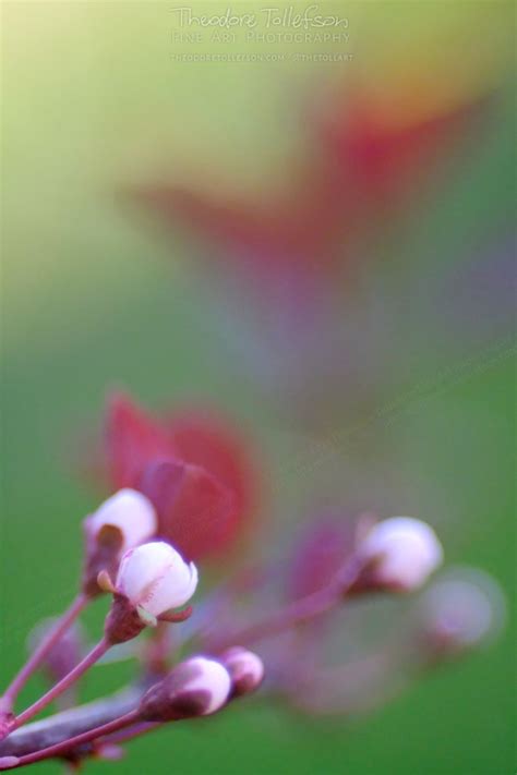 Win An Ektoplasmar Converted Projection Lens Drawing Ended · Theodore Tollefson Photography