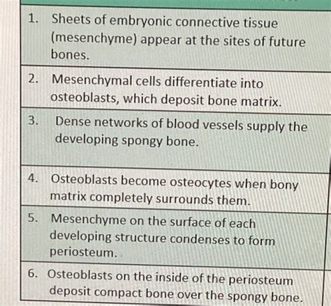 Chapter 7 Flashcards Quizlet Chapter 7 Flashcards Quizlet