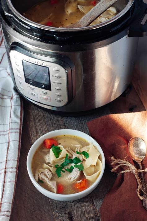 Instant Pot Chicken Noodle Soup The Domestic Dietitian