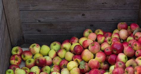 Jeronimo Del Villar On Linkedin As The Fed Cuts Rates How Should You Be Thinking About Your