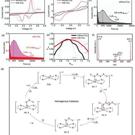 Mengting Zheng Doctor Of Philosophy Griffith University Brisbane Center For Clean