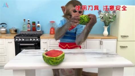 小猴子啵啵购买家具 06 少儿 动画片大全 腾讯视频