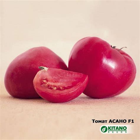 Асано (KS-38) F1, 100 сем. семена томата Kitano (ID#930594140), цена ...