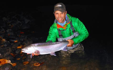 Swinging Great Lakes Steelhead And Beyond Toflyfish
