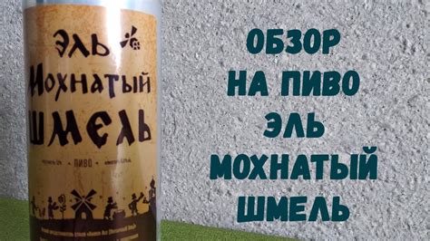 Обзор на пиво Эль мохнатый шмель (18+) - YouTube