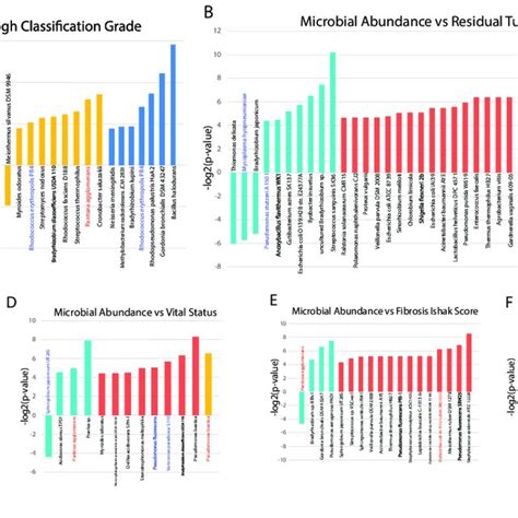 Correlation Of Microbial Abundance To Clinical Variables Microbial Download Scientific Diagram