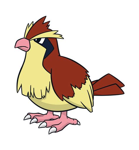 Pidgey