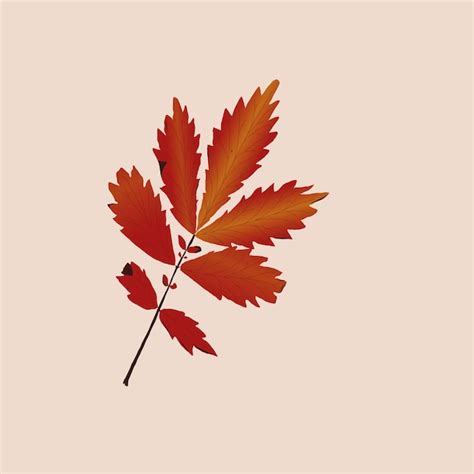 Hoja de otoño naranja del árbol Vector Premium