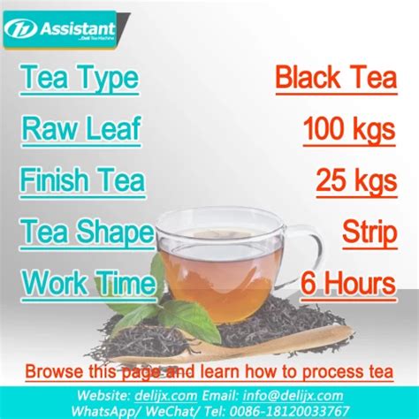 All Stainless Steel Tea Leaf Processing Production Machine