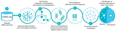 Ijms Free Full Text Analysis Of Tumor Infiltrating T Cell Transcriptomes Reveal A Unique