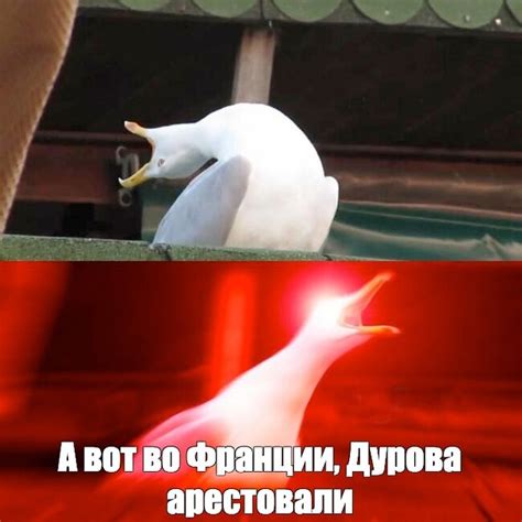 аргумент Пикабу