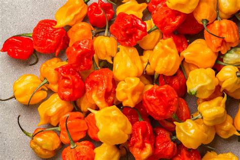 Meet Pepper X The New Worlds Hottest Pepper