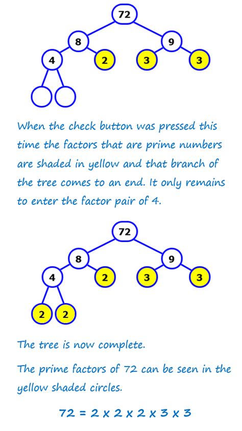 Prime Factorization Tree Worksheet