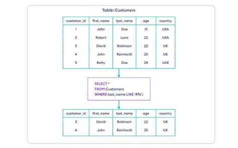 priyanka rohewal on linkedin day9 100days sql dataanalysis