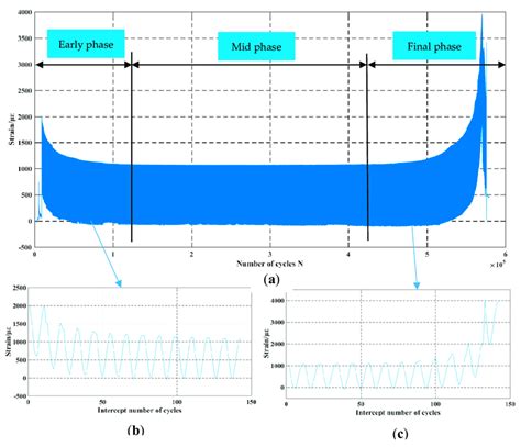 Cushion Curve Testing At Chelsea Frome Blog