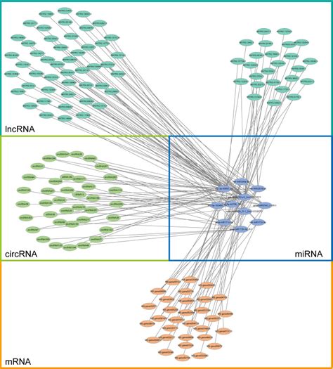 Integrated Agronomic Physiological Microstructure And Whole