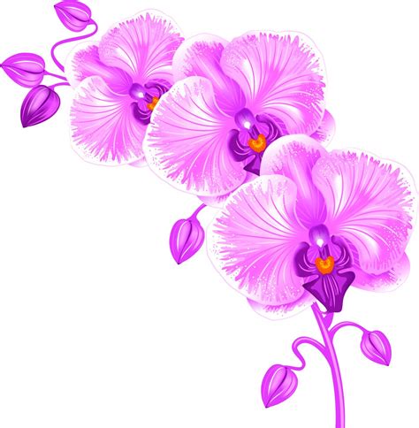 Pink Orchid Decal Orchid Wall Sticker Floral Wall Decor Etsy