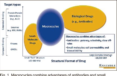 Figure 1 From Macrocycles In Drug And Agrochemical Discovery Semantic