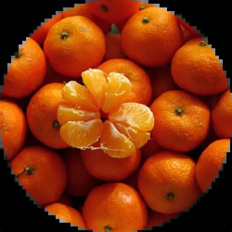 Optimizing Maintenance Contracts With Lts Laws Legal Expertise Lts